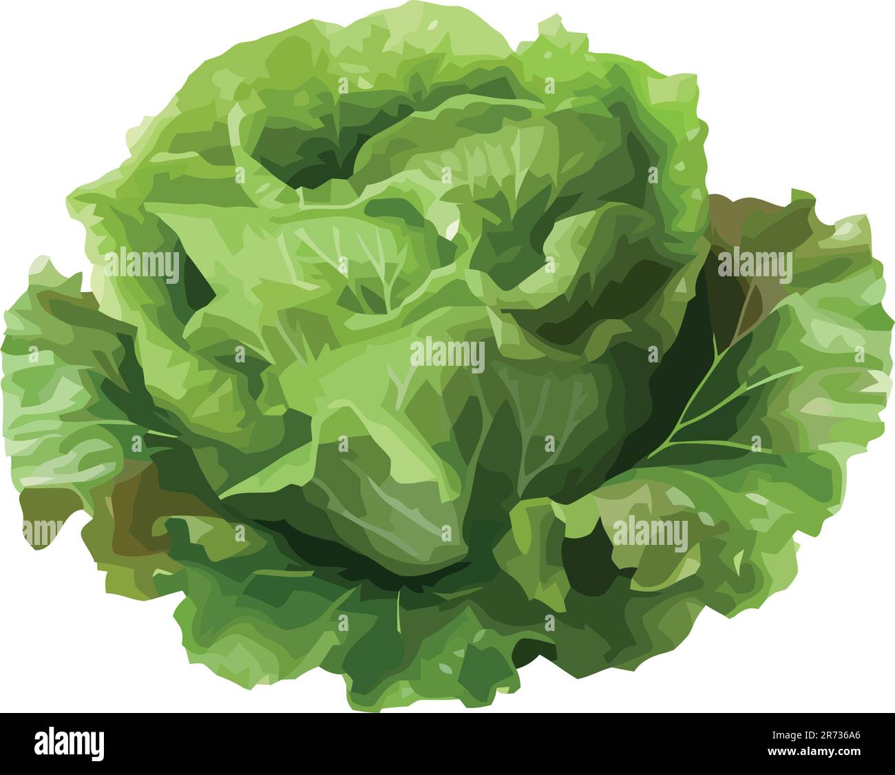 Healthy eating symbolized by fresh vegetable lettuce Stock Vector Image ...