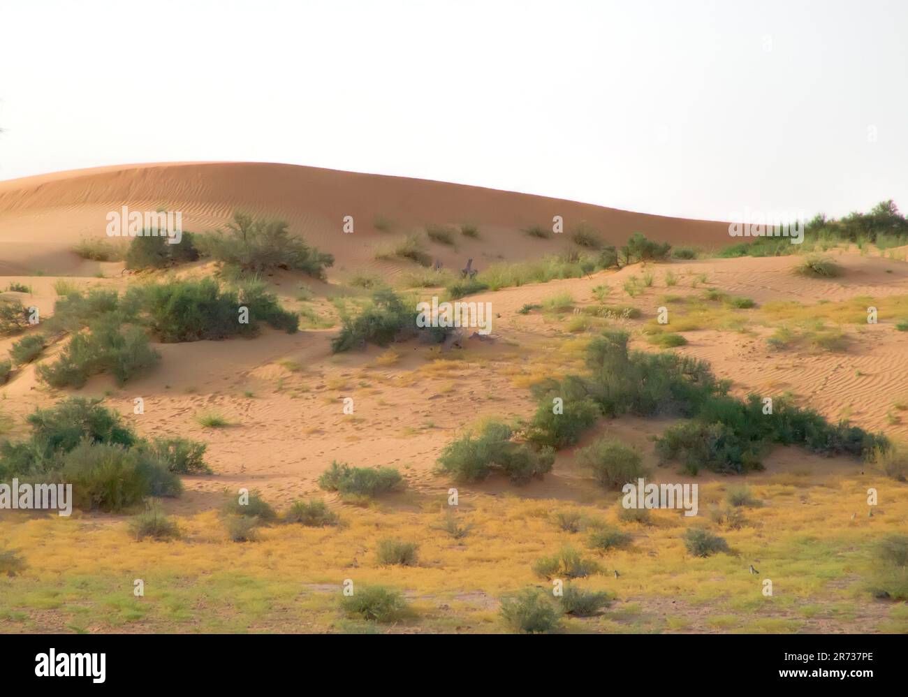 Arabic lands hi-res stock photography and images - Alamy