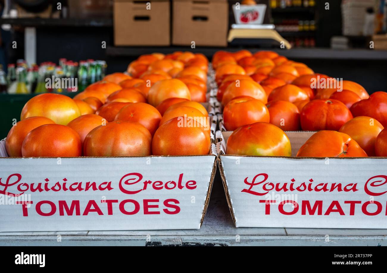 New orleans french quarter festival hi-res stock photography and images ...