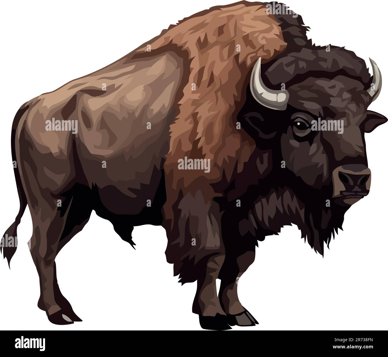 Large horned bison mammal Stock Vector Image & Art - Alamy
