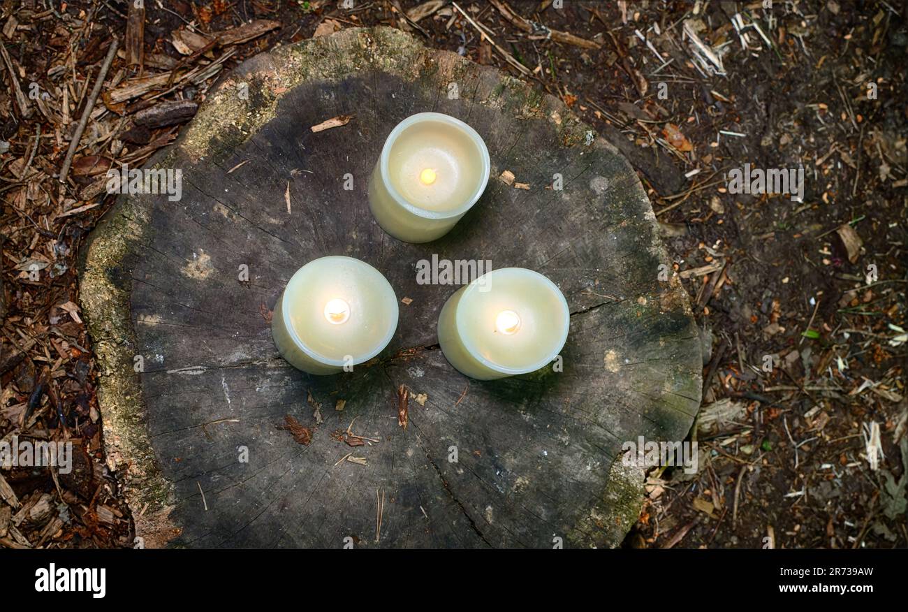 Three lit candles sitting on a tree stump from above Stock Photo - Alamy