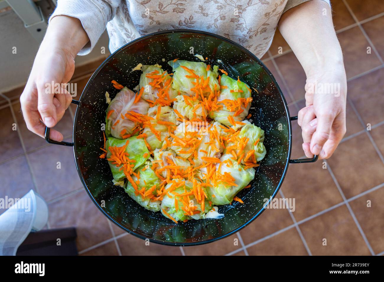 Traditional Ukrainian raw (unprepared) stuffed cabbage rolls with meat ...
