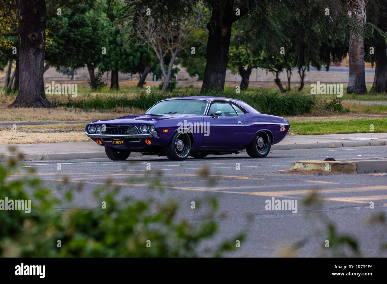 1974 1975 doge challenger hi-res stock photography and images - Alamy