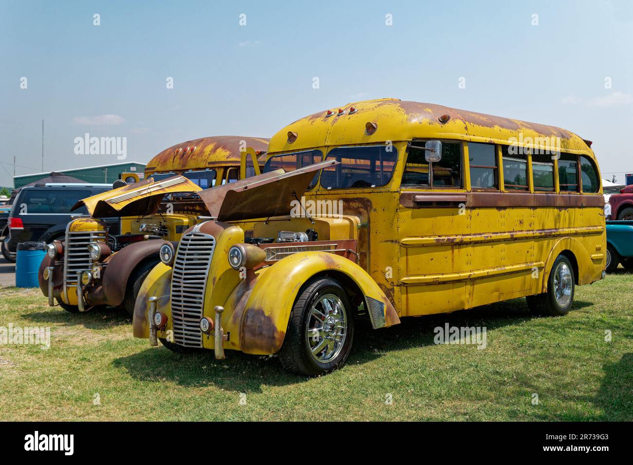 A pair of customize yellow with patina old vintage school buses with ...