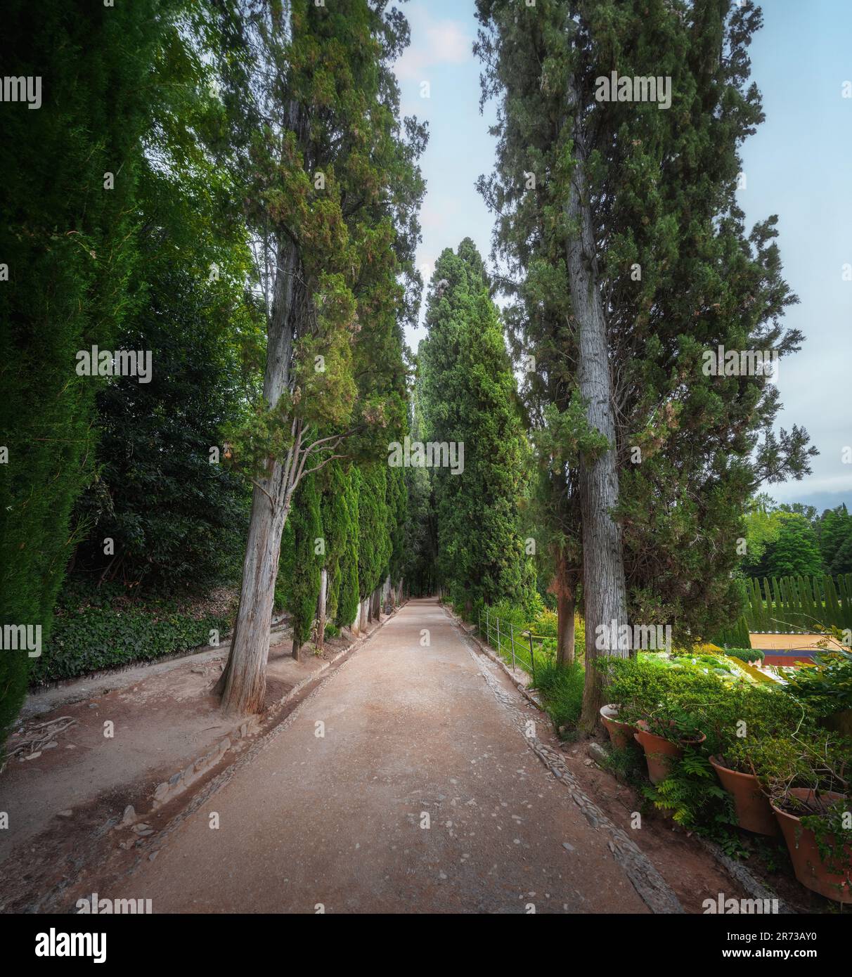 Walk of the Cypress Trees (Paseo de los Cipreses) at Generalife Gardens ...