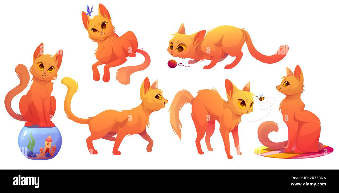 Curious playful ginger cat Stock Vector Images - Alamy