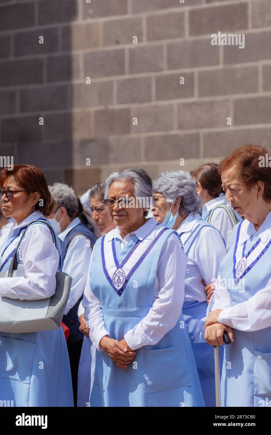 Priests and members of the Catholic church perform a procession in ...