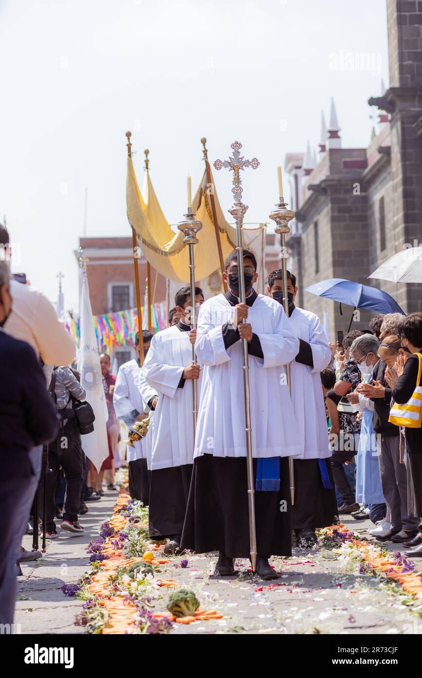 Priests and members of the Catholic church perform a procession in ...