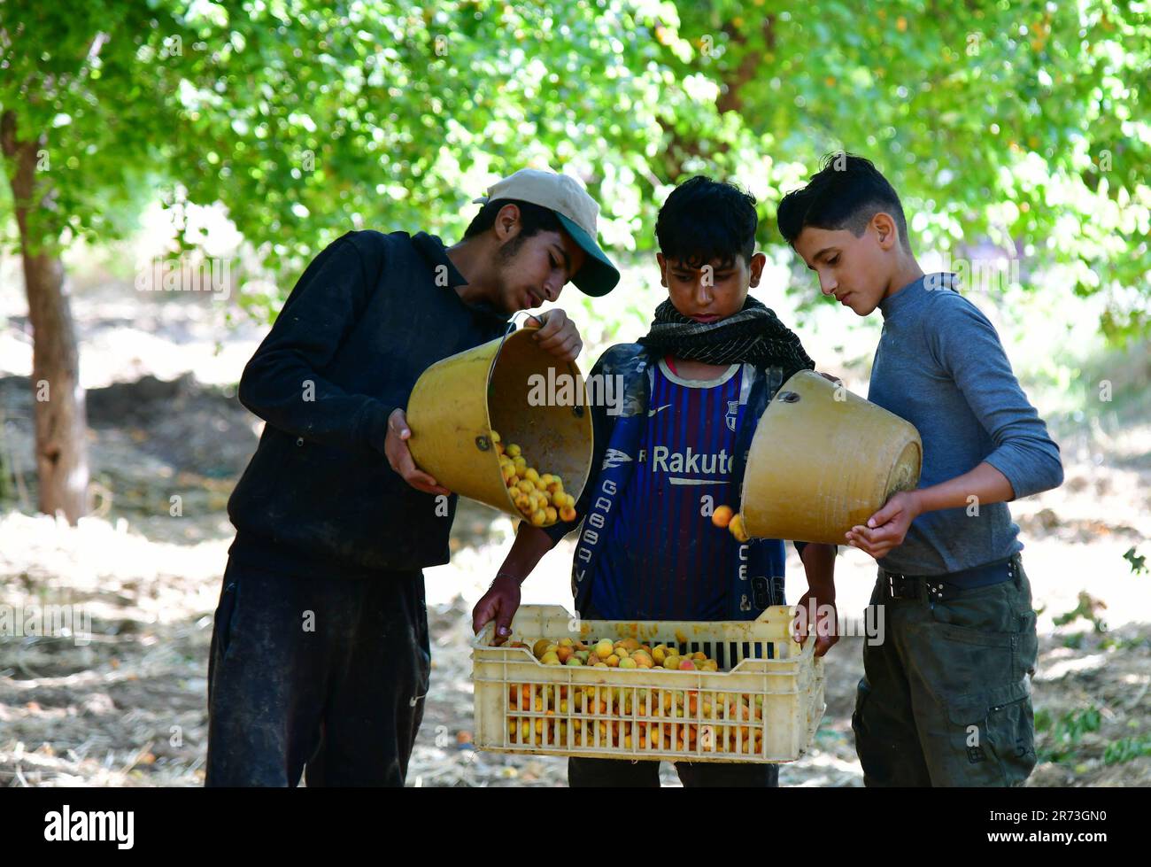 June 12 2023 hi-res stock photography and images - Alamy