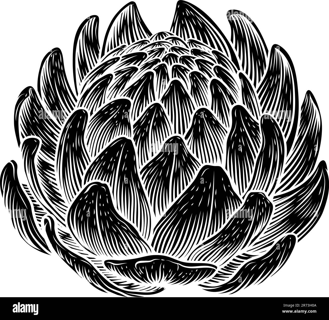 Plant woodcut hi-res stock photography and images - Alamy