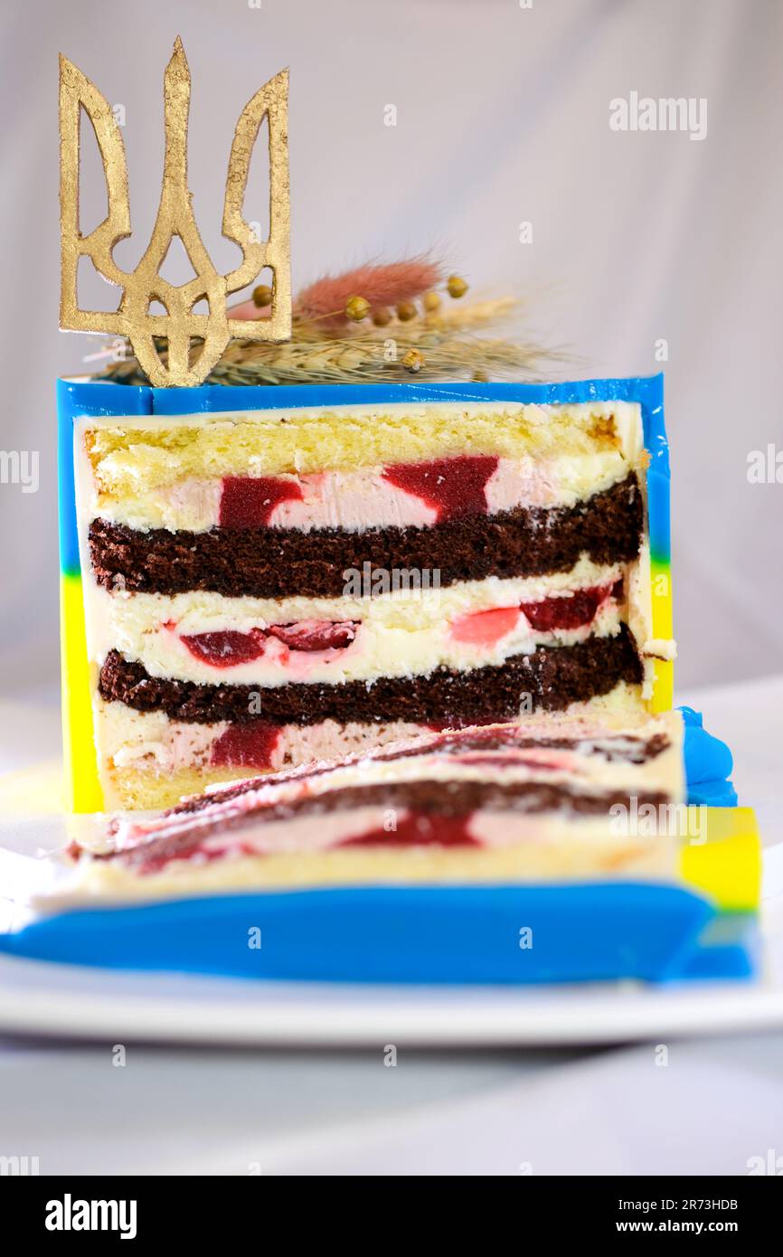 preparation and decoration of a delicious cake dessert with the ...
