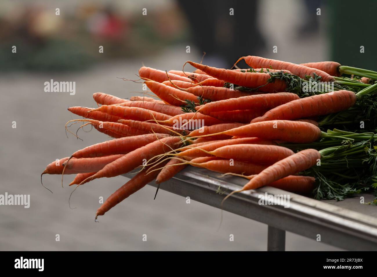 Picture of carrots, orange, stacked, unpeeled, raw, ready to be ...