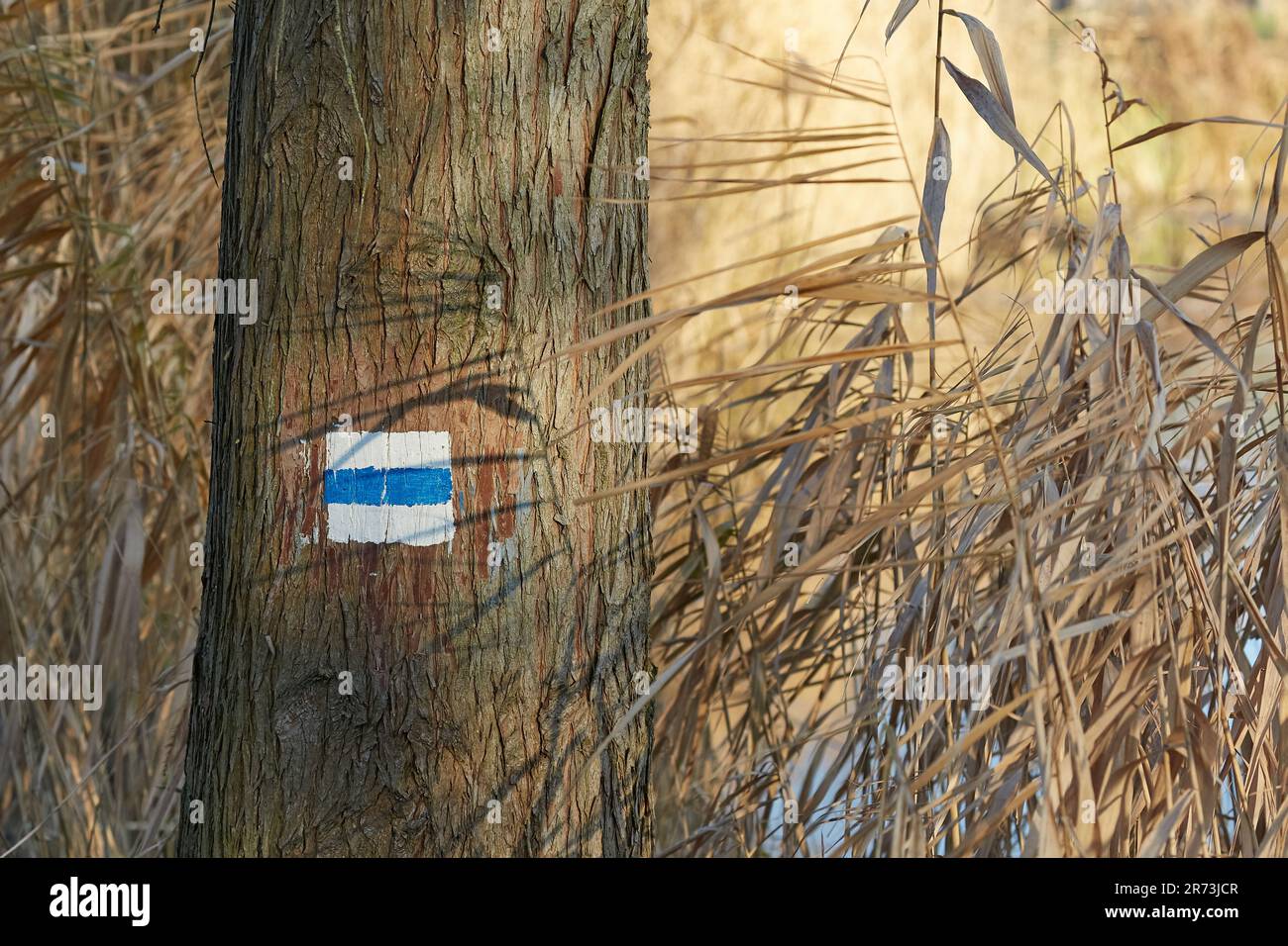 Hiking trail signs Stock Photo - Alamy