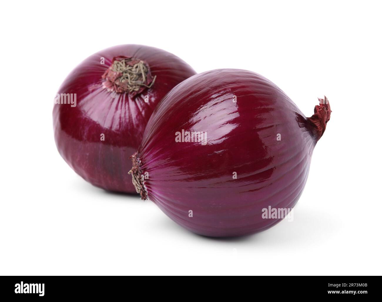 Two fresh red onions on white background Stock Photo - Alamy