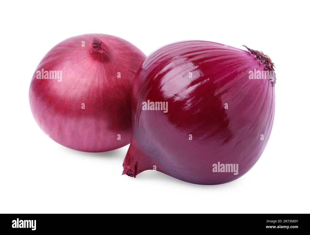 Two fresh red onions on white background Stock Photo - Alamy