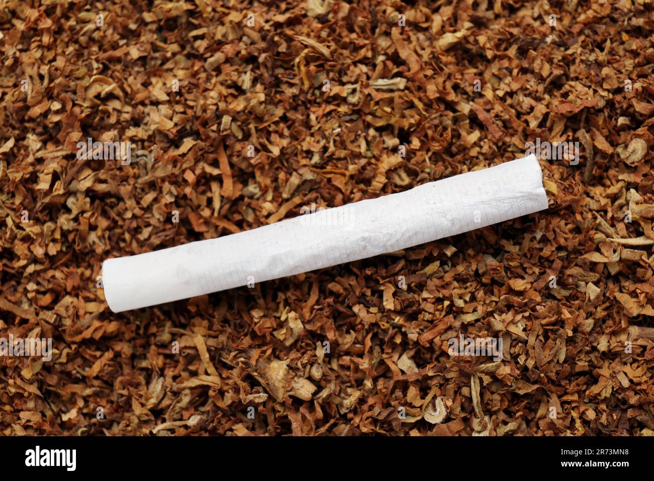 Hand rolled cigarette and tobacco, closeup view Stock Photo - Alamy