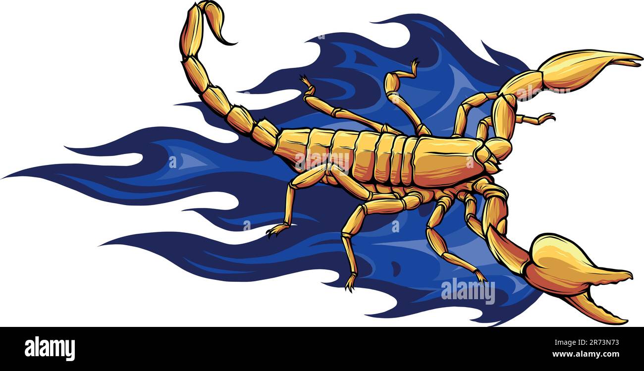 Draw scorpion hi-res stock photography and images - Alamy