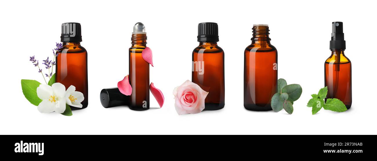 Set of different essential oils in bottles and ingredients on white ...
