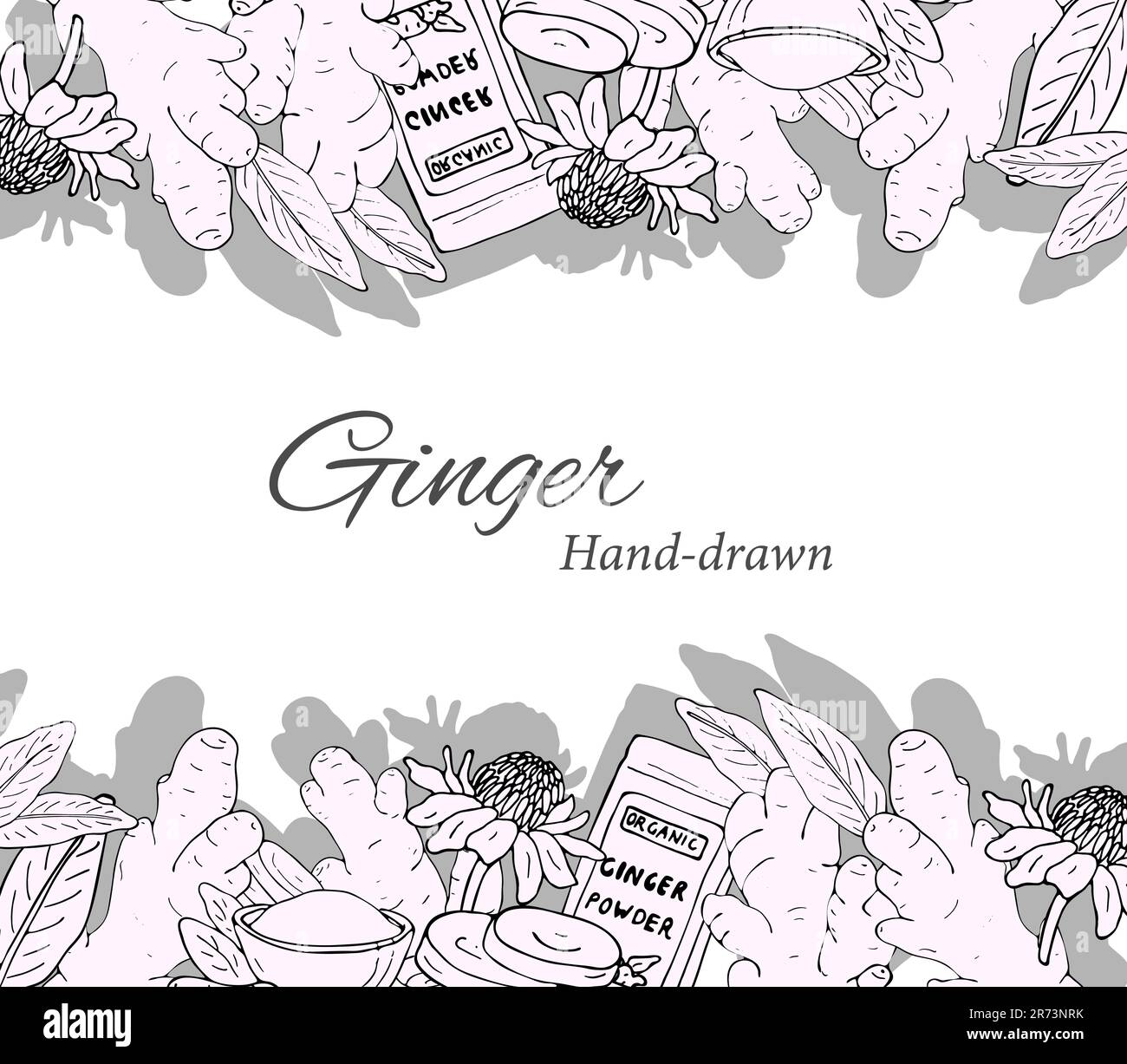 hand-drawn background of ginger set Stock Vector Image & Art - Alamy