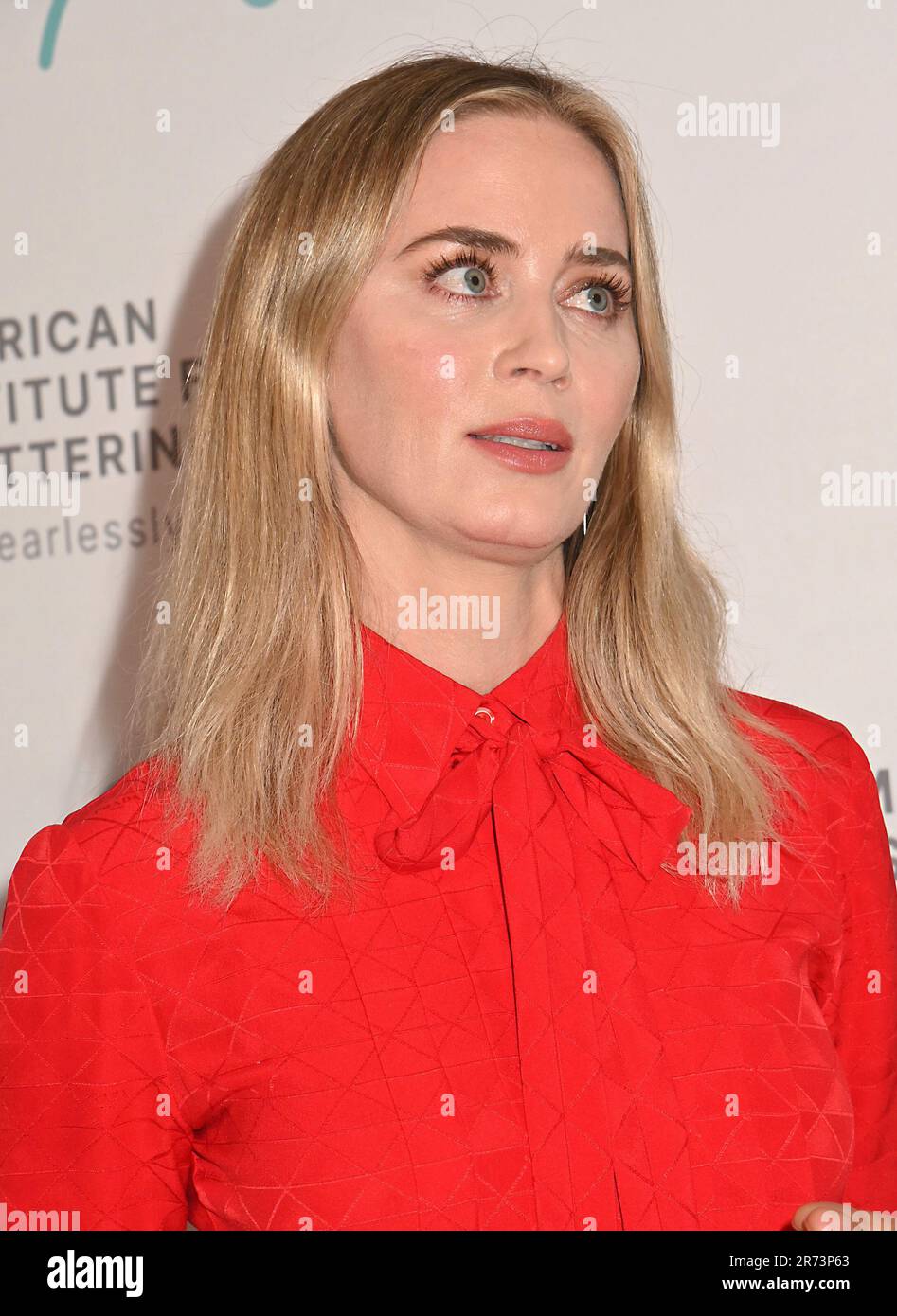 Emily Blunt attends the American Institute for Stuttering 17th Annual ...