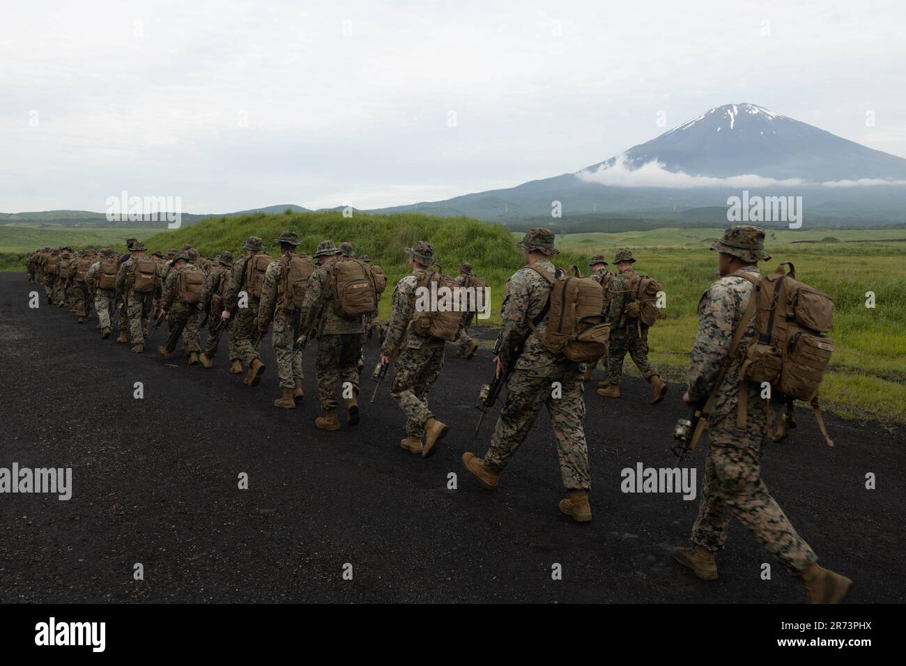 U.S. Marines with Combat Logistics Battalion 4, Combat Logistics ...