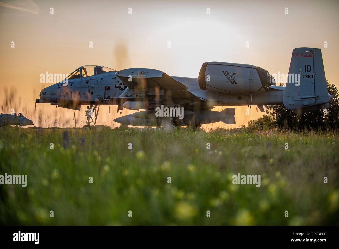 A U.S. Air Force A-10 Thunderbolt II aircraft assigned to the 124th ...