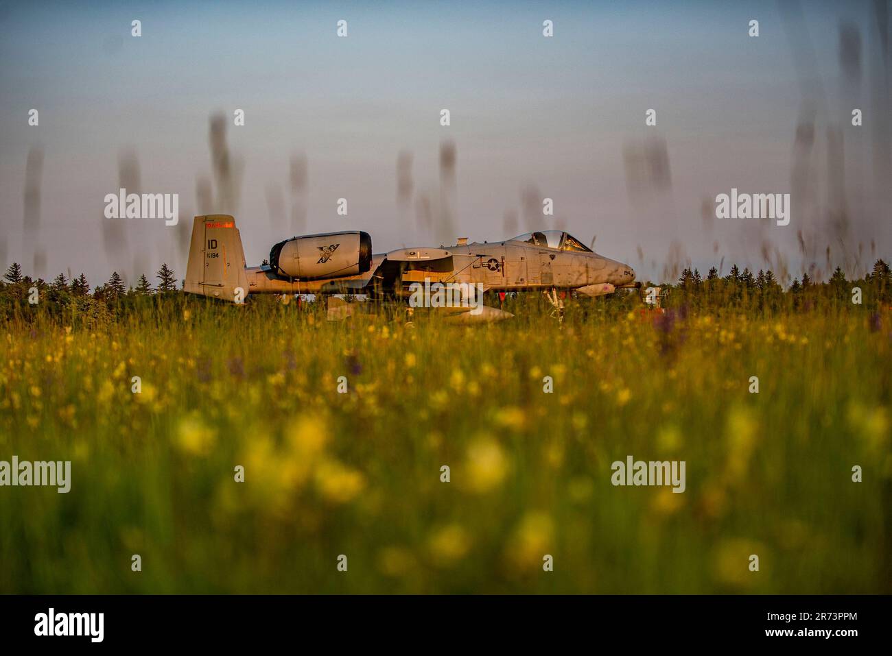 A U.S. Air Force A-10 Thunderbolt II aircraft assigned to the 124th ...