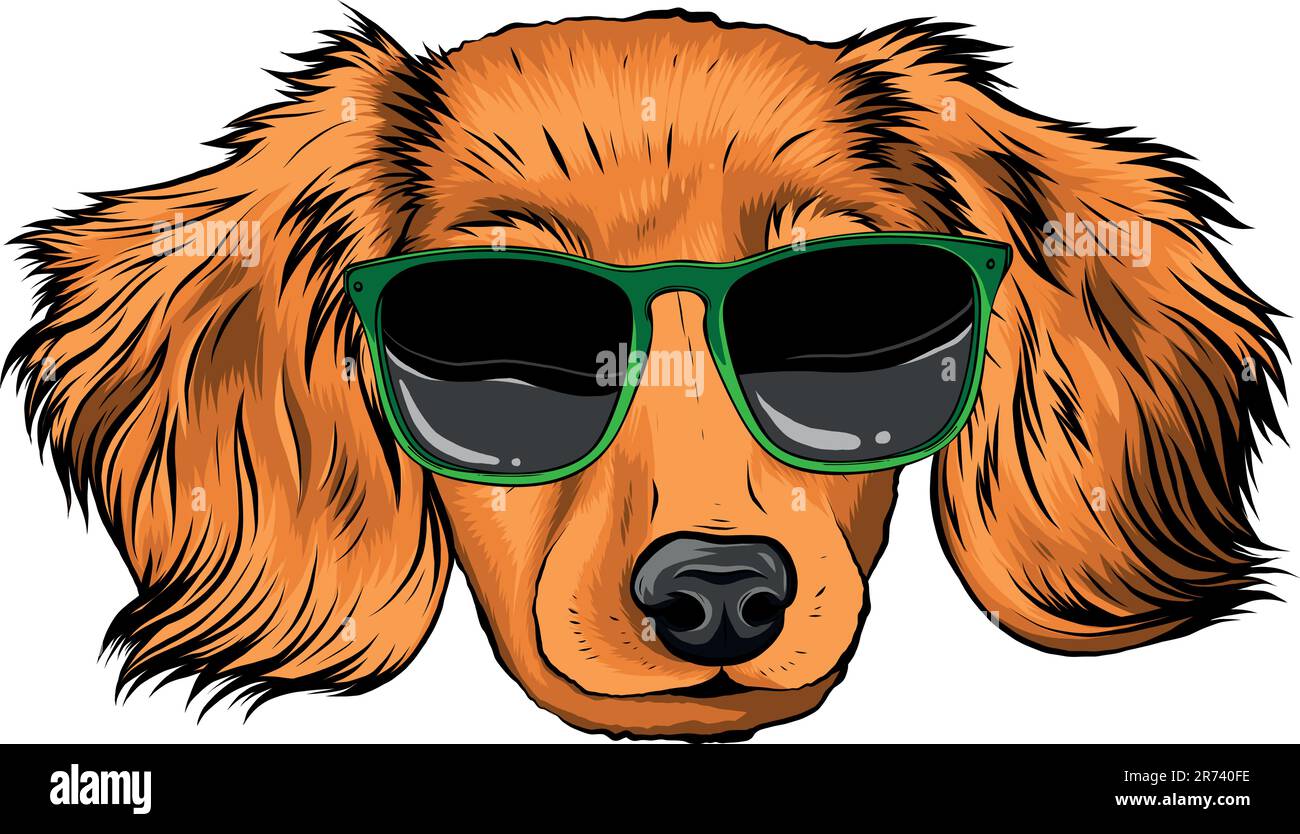vector illustration of dog face hand draw Stock Vector Image & Art - Alamy