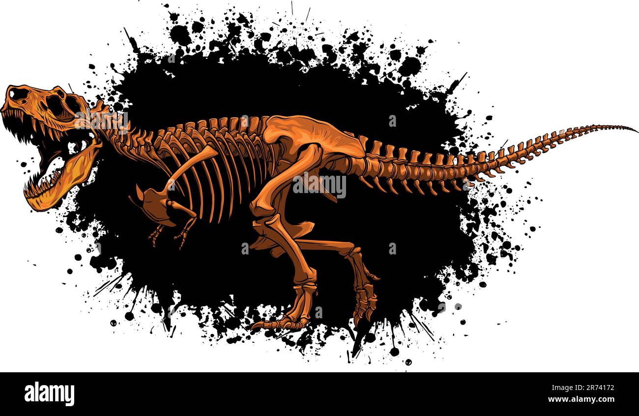 colored Tyrannosaurus skeleton image vector illustration design Stock ...