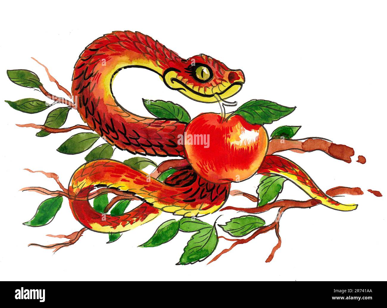 Red snake with apple fruit. Ink and watercolor drawing Stock Photo - Alamy