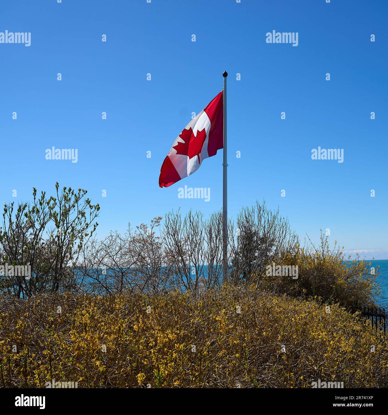 Canadian Flag on Lake Ontario Stock Photo - Alamy