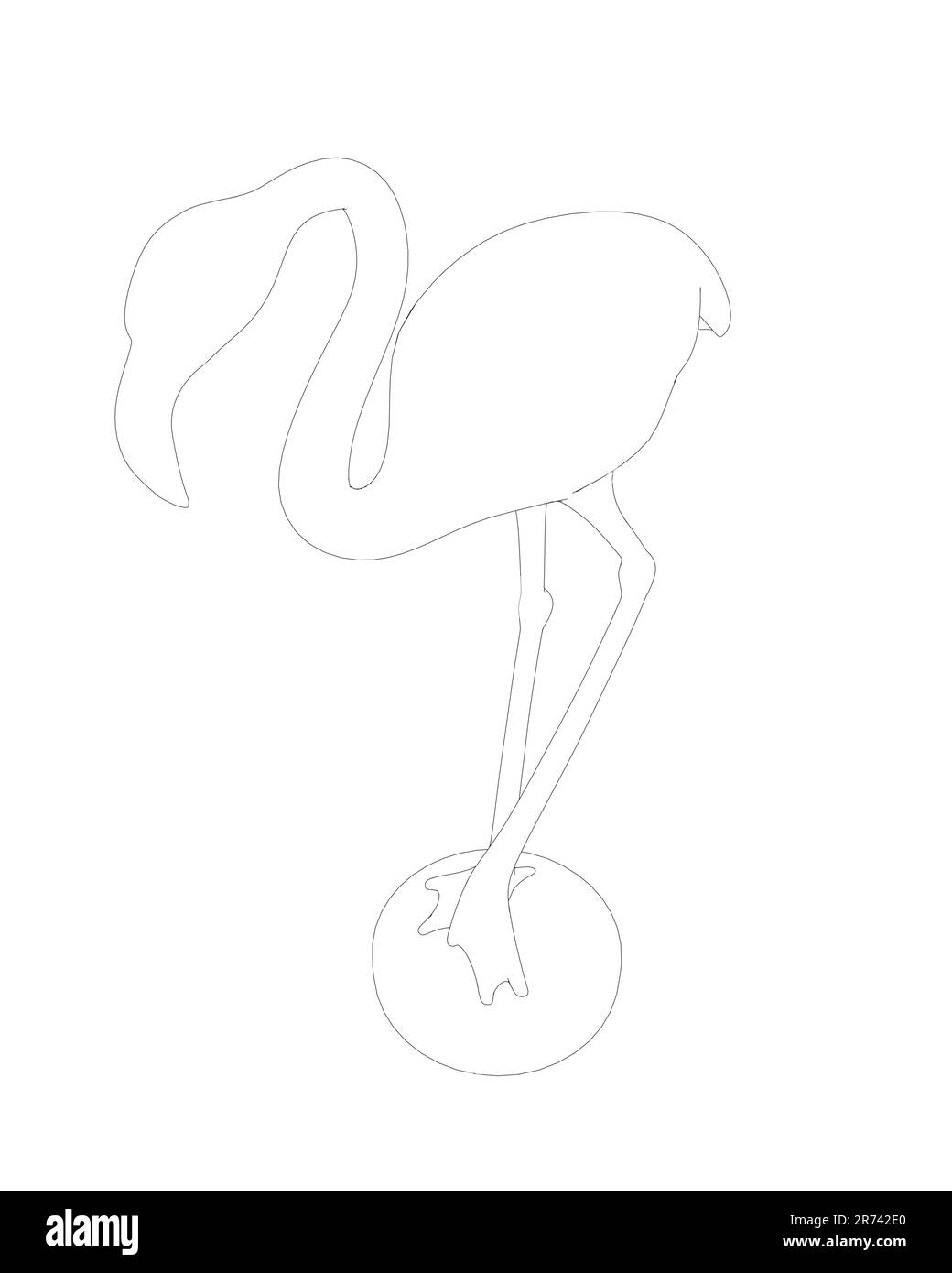 Flamingo Drawing Template