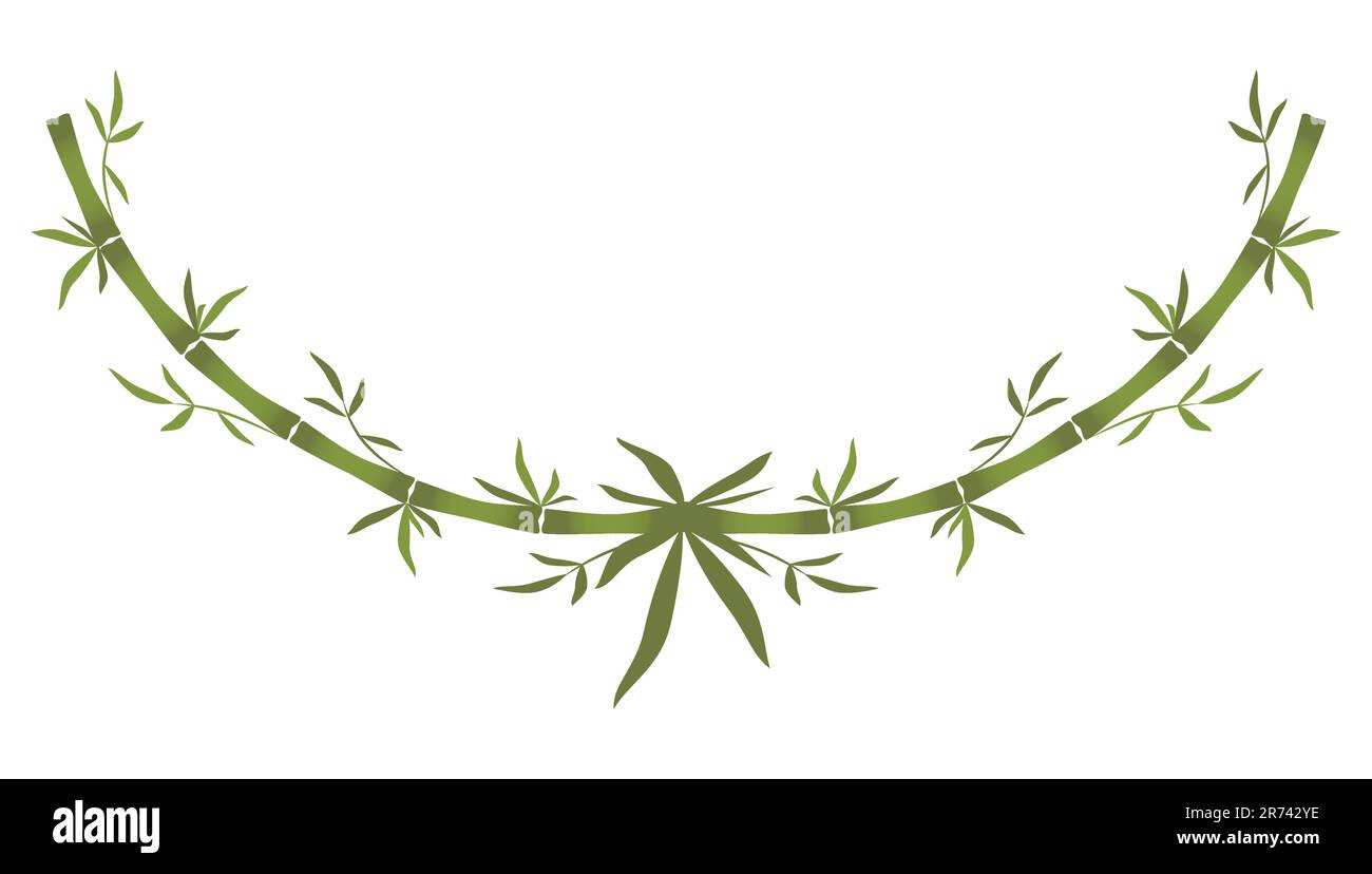 Bamboo Wreath Green bamboo stem and leaves Hand drawn vector ...