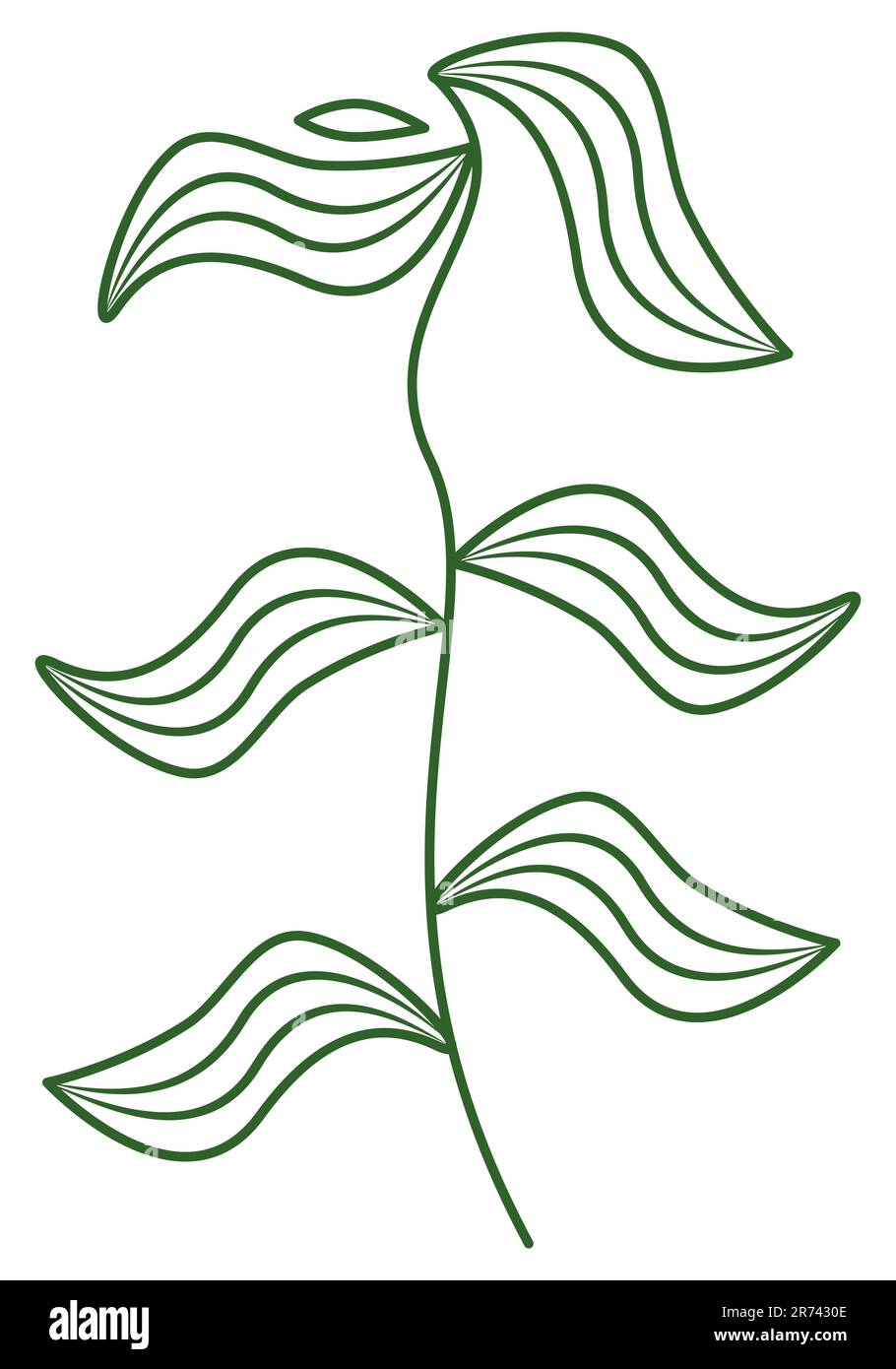 Simple Tree Branch Outline