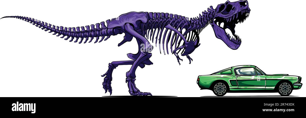 colored Tyrannosaurus skeleton image vector illustration design Stock Vector Image & Art - Alamy