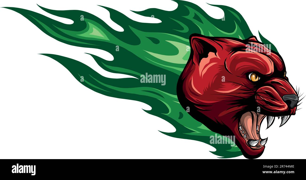 animal head of Cougar vector illustration design Stock Vector Image ...