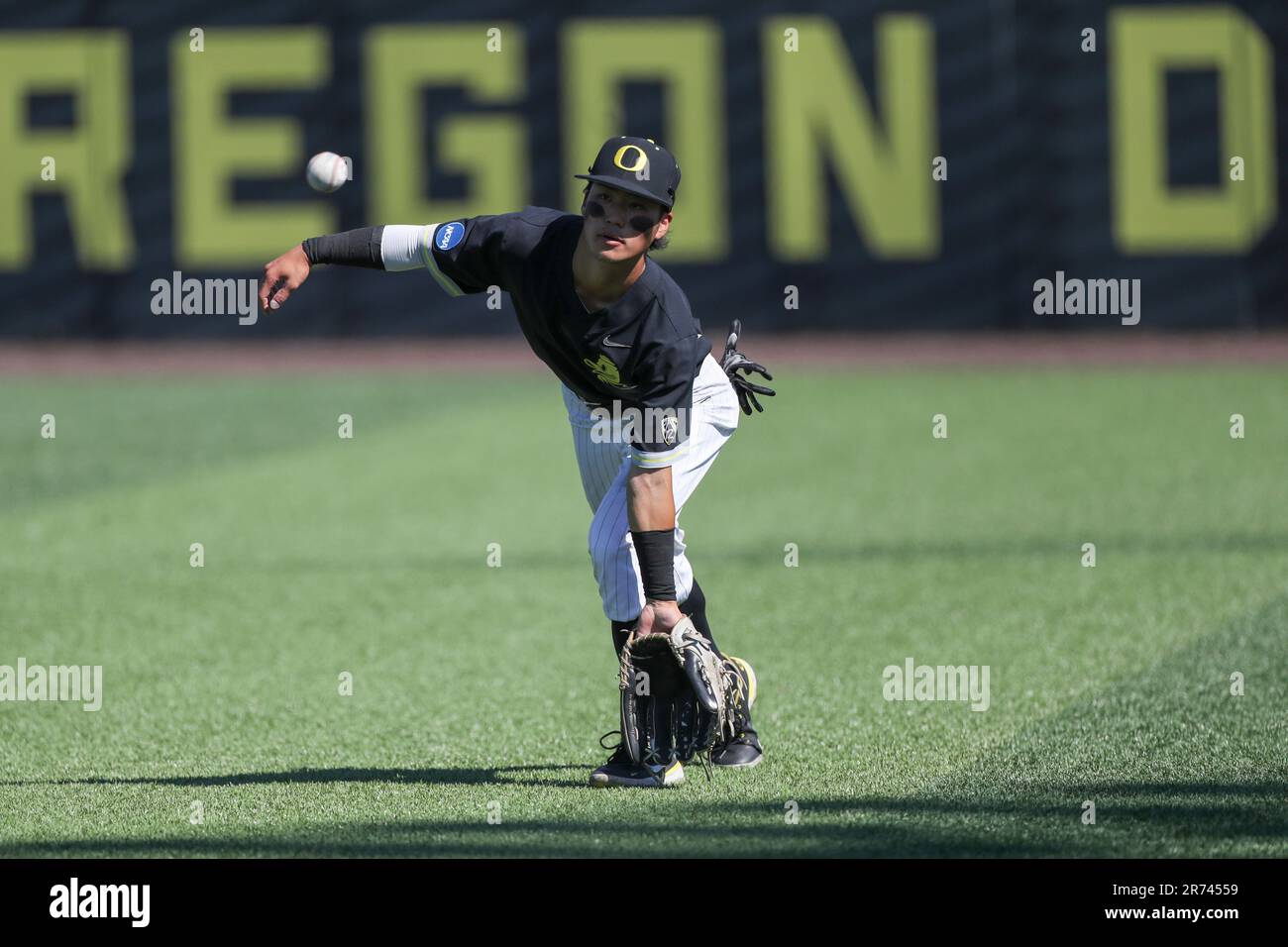 Oregon infielder Rikuu Nishida (56) catches a ball in between innings ...
