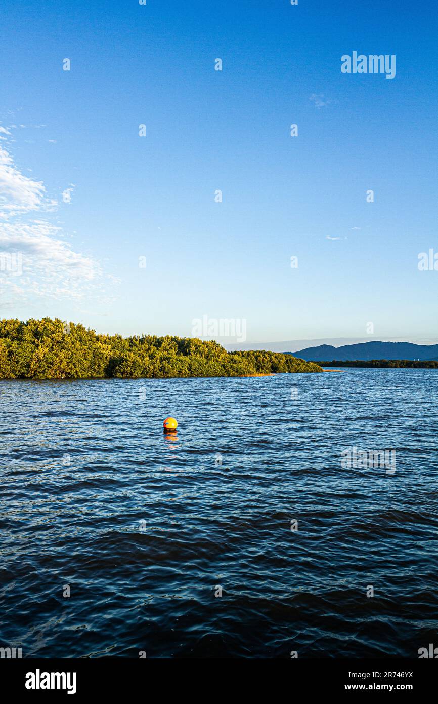 Vegetation seen at Pirajubae Marine Extractive Reserve Stock Photo - Alamy