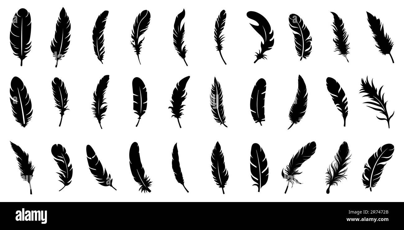 Feather icons. Set of black feather icons isolated on white background ...