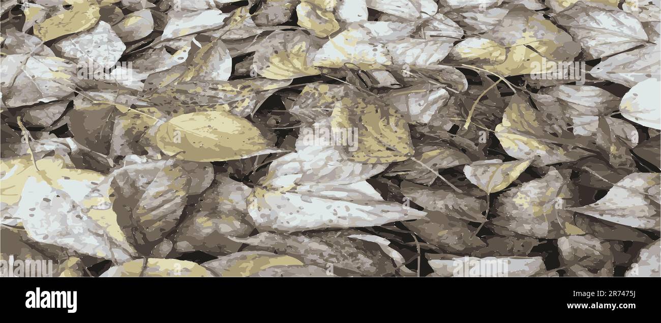 Dead leaves top view Stock Vector Images - Alamy