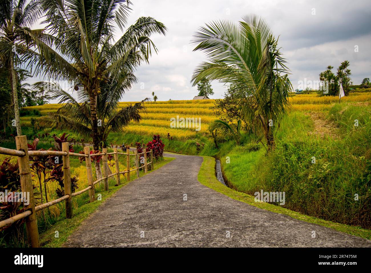 Incridible bali hi-res stock photography and images - Alamy