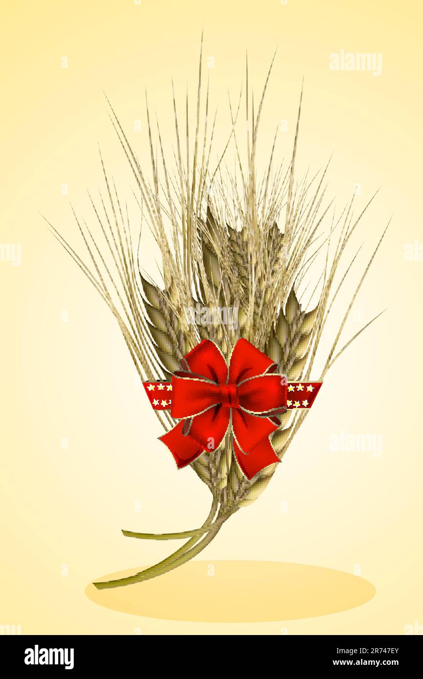 illustration of grain with ribbon on white background Stock Vector ...