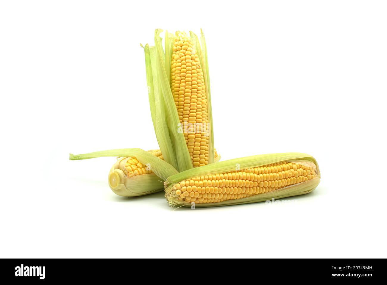 Fresh raw maize or corn on the cob with leaves isolated on white ...