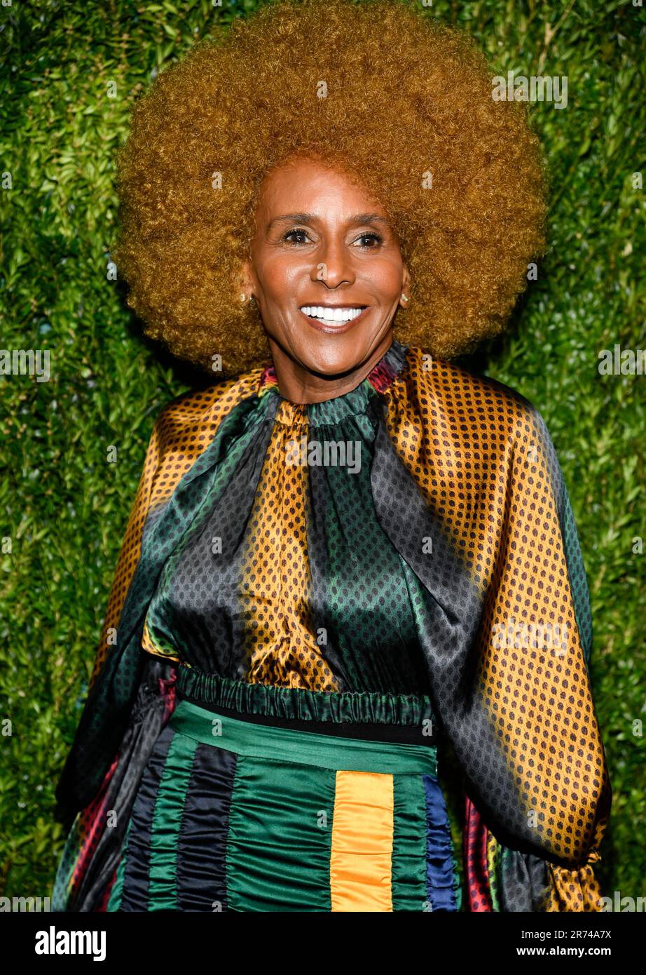 Renee Cox attends the 16th annual Chanel Tribeca Artists Dinner at ...