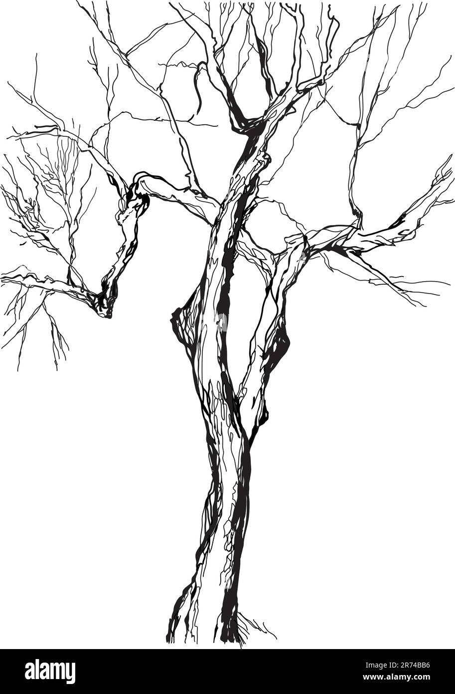Old tree Stock Vector Images - Alamy