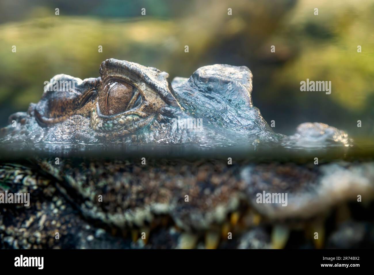 Submerged lookout hi-res stock photography and images - Alamy