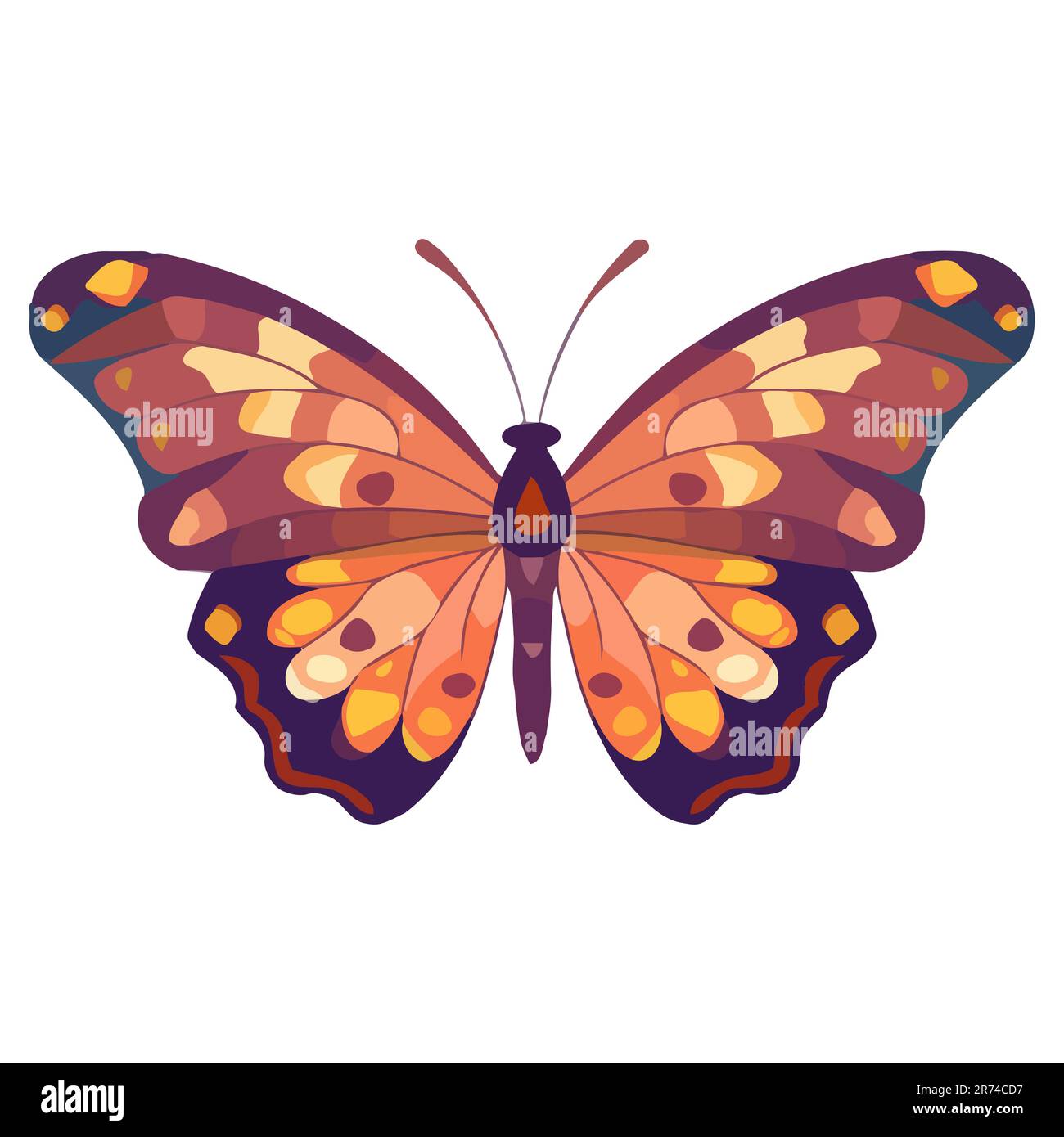 Cute butterfly. Butterfly drawing on white background. Hand drawn ...