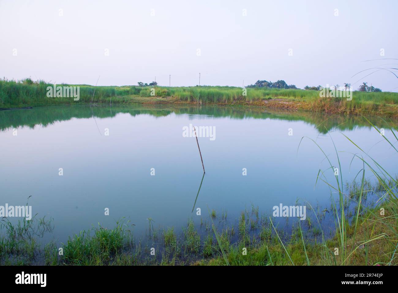 Lake water with green grass landscape view of under the blue sky Stock ...