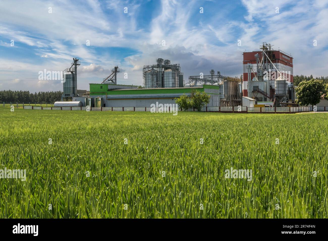 agro silos on agro-industrial complex and grain drying and seeds ...