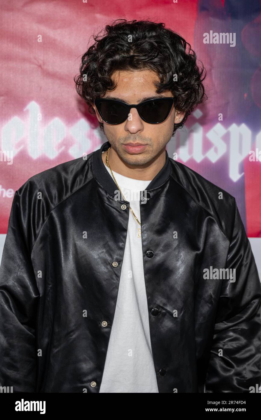 Los Angeles, USA. 12th June, 2023. Actor/Musician Joel Matthew attends ...
